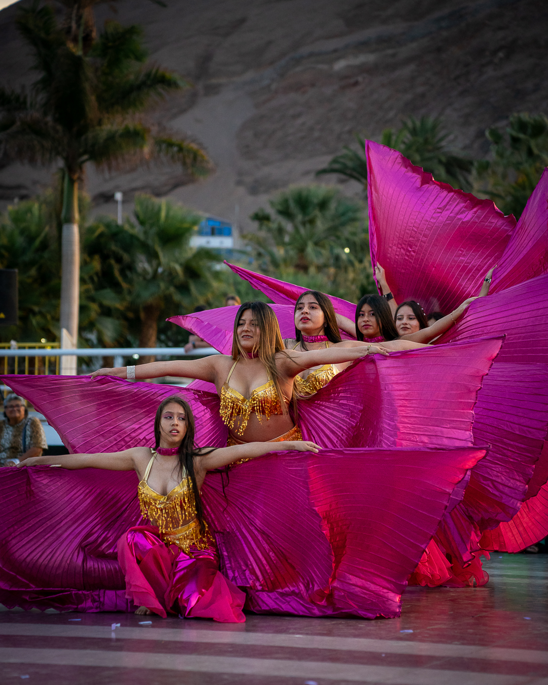 DISAM_8M-110 – Atención Primaria de Salud Municipal
