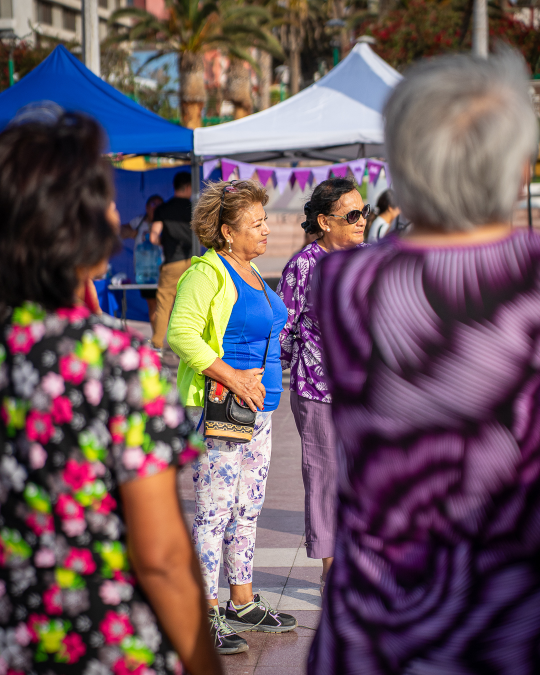 DISAM_8M-31 – Atención Primaria de Salud Municipal