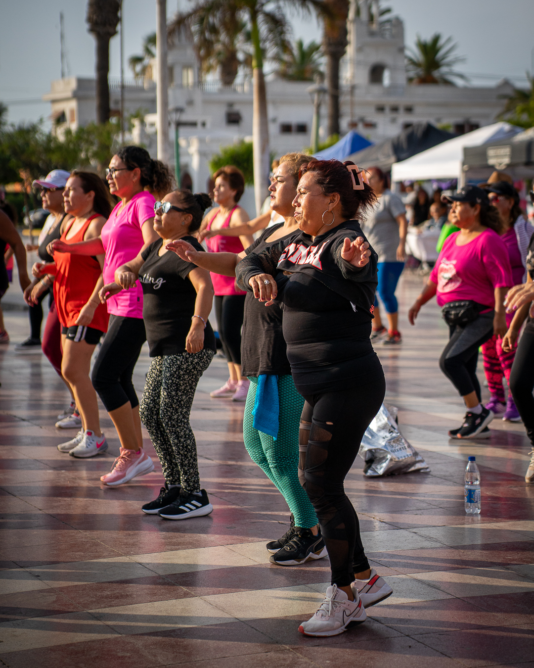 DISAM_8M-56 – Atención Primaria de Salud Municipal
