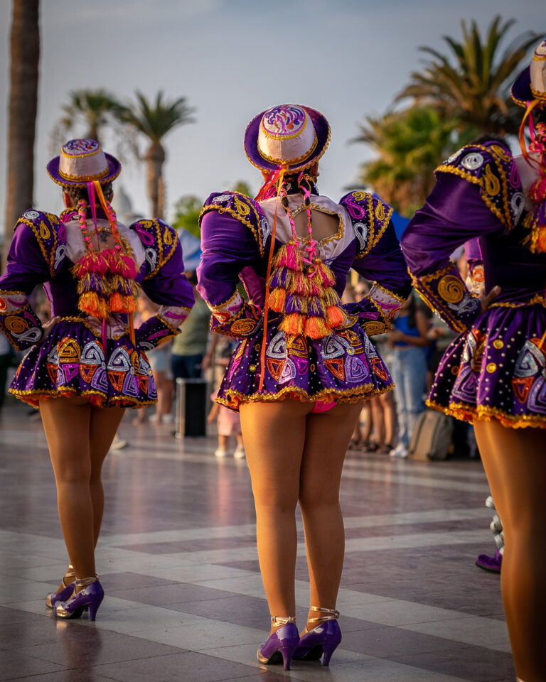 DISAM_8M-79 – Atención Primaria de Salud Municipal