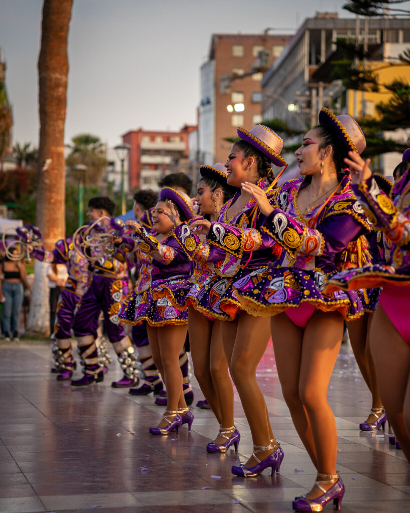 DISAM_8M-91 – Atención Primaria de Salud Municipal
